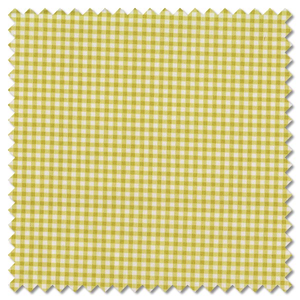 55676-16 gingham green - Moda Shine