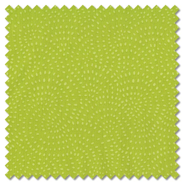 1155-Lime - Dashwood Studio Twist